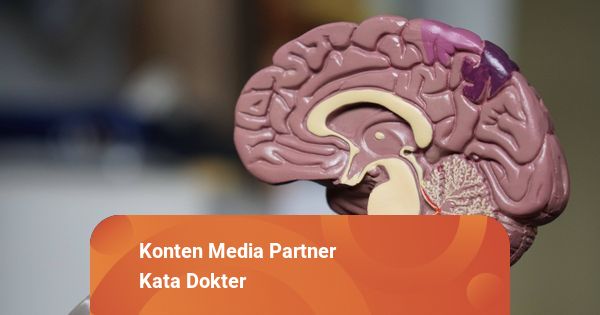 7 Ciri-Ciri Kanker Otak yang Perlu untuk Diwaspadai | kumparan.com